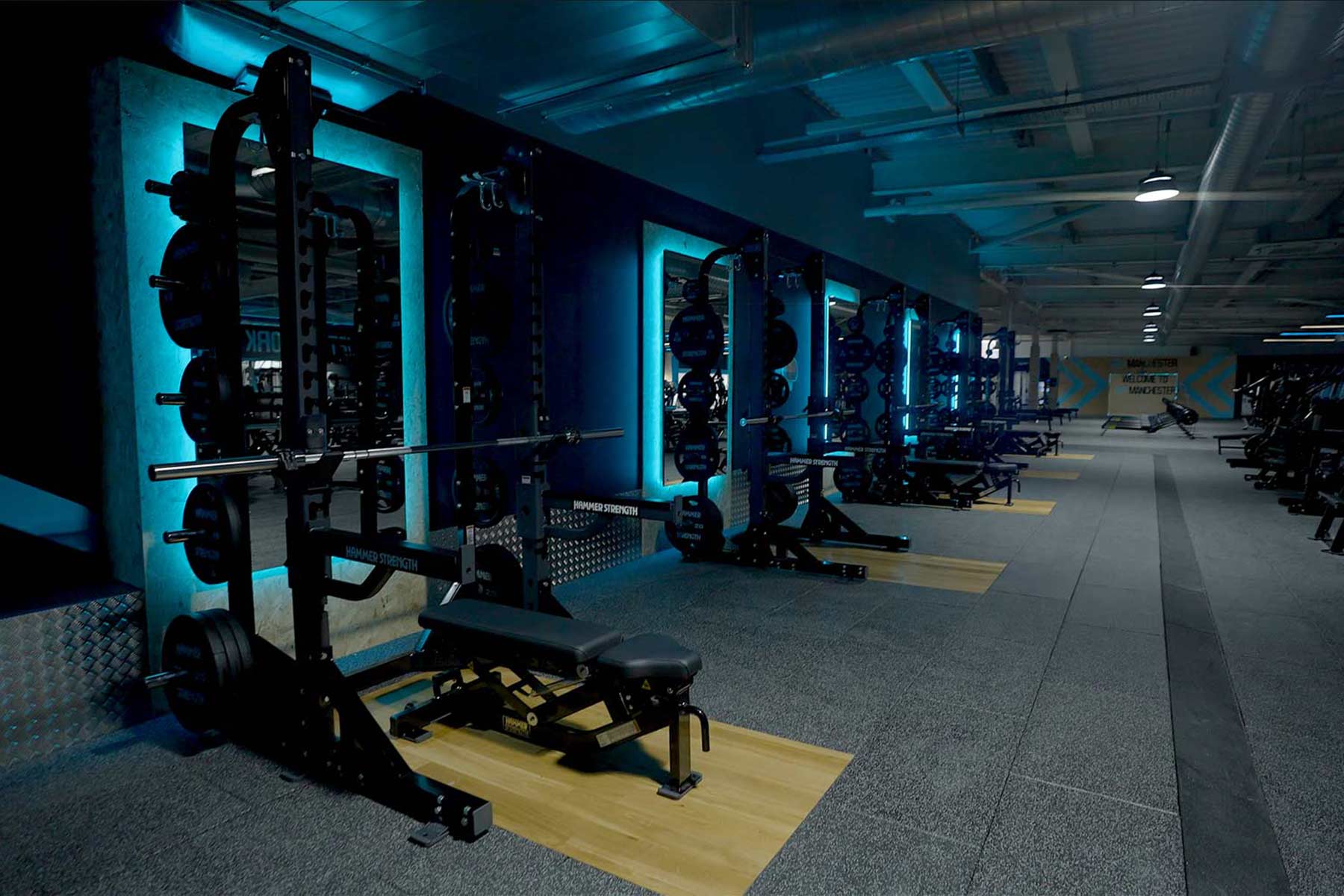 Premium Membership - With unlimited access to health and wellness support